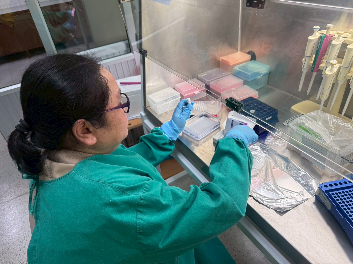 โครงการความร่วมมือ Science and Technology Research Partnership for ...